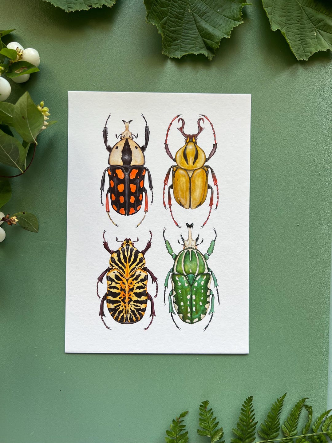 Fruit Beetles, Watercolour Fine Art Print, Entomology - Etsy