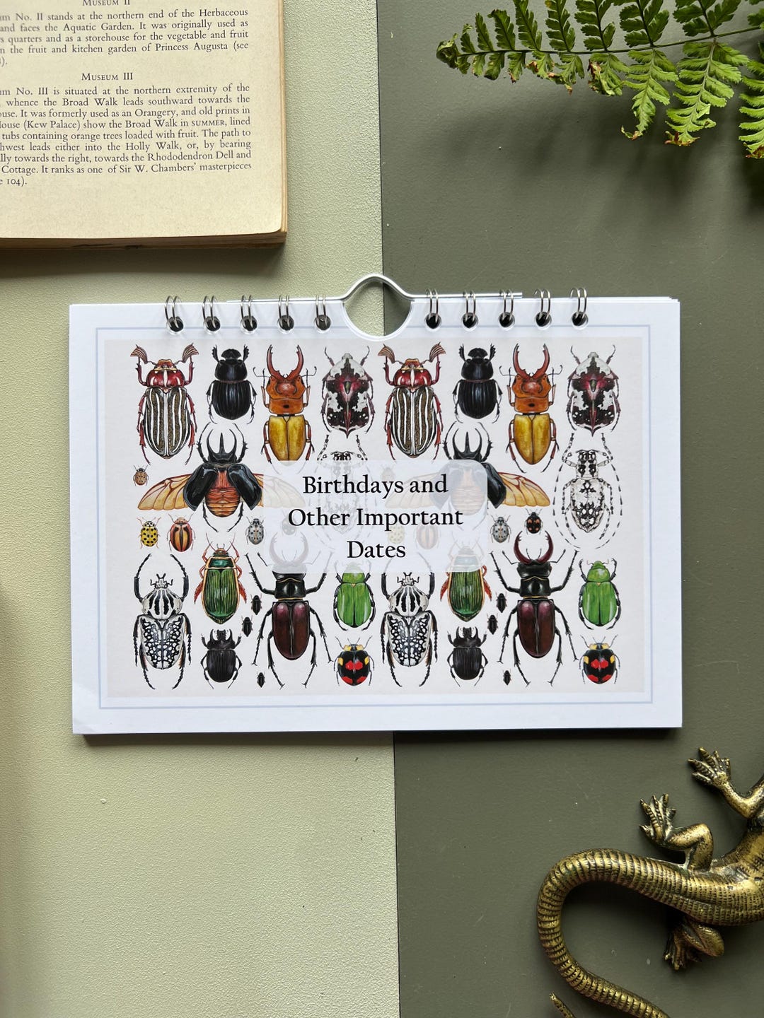 Preorder - Beetles and Bugs Birthdays and Other Important Dates ...