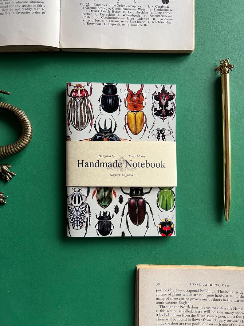Handmade Insects Notebook Set, A6 Notebook, Sketchbooks, Entomology ...