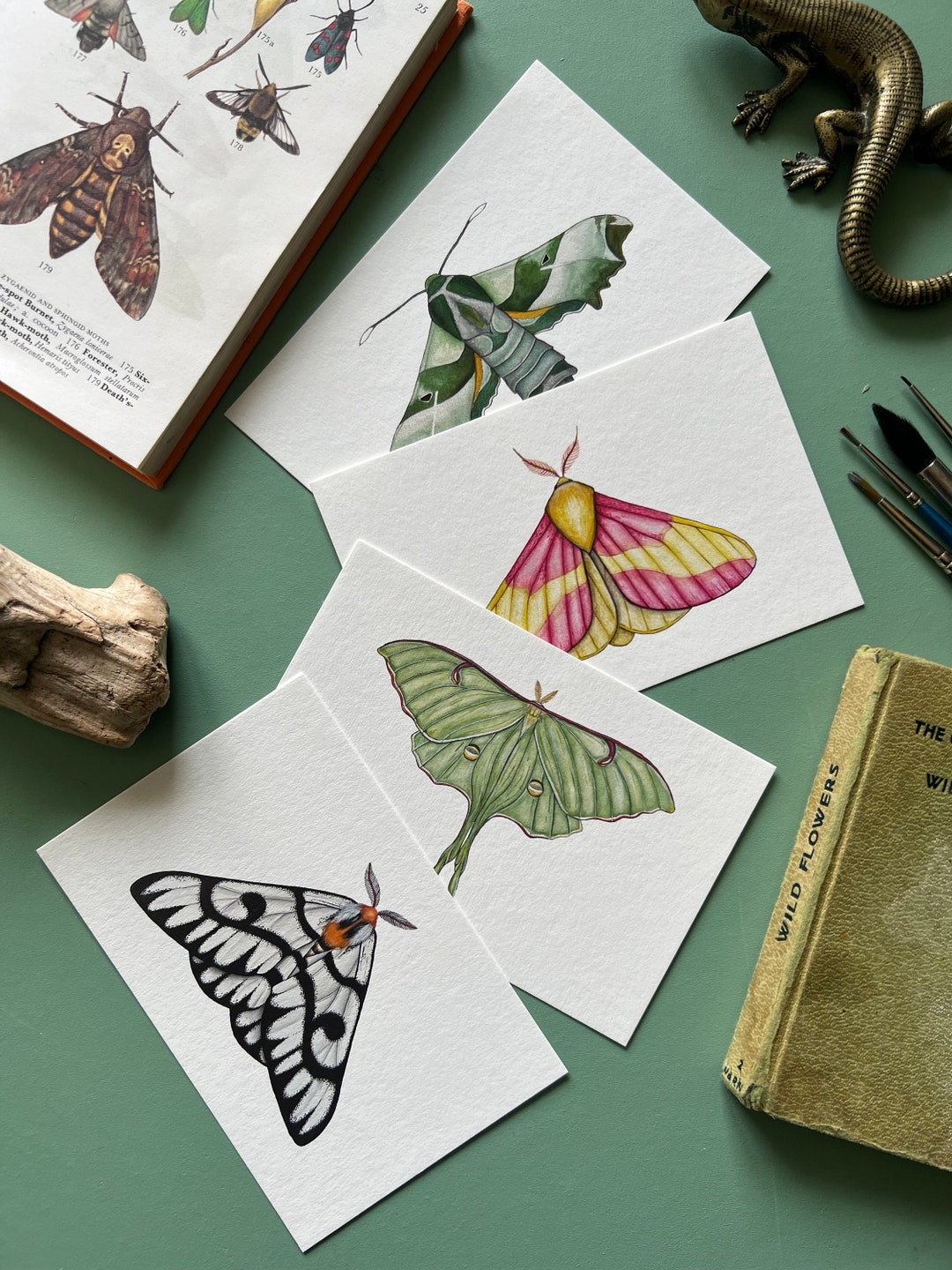 Moth Mini Print Set, Watercolour - Etsy UK
