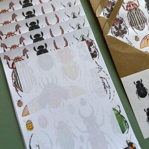 Beetles and Bugs, Letter Writing Set, Stationery Pack - Etsy