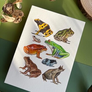 Frogs Print - Etsy