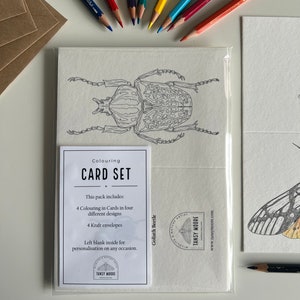 Beetles Colouring in Cards - Etsy