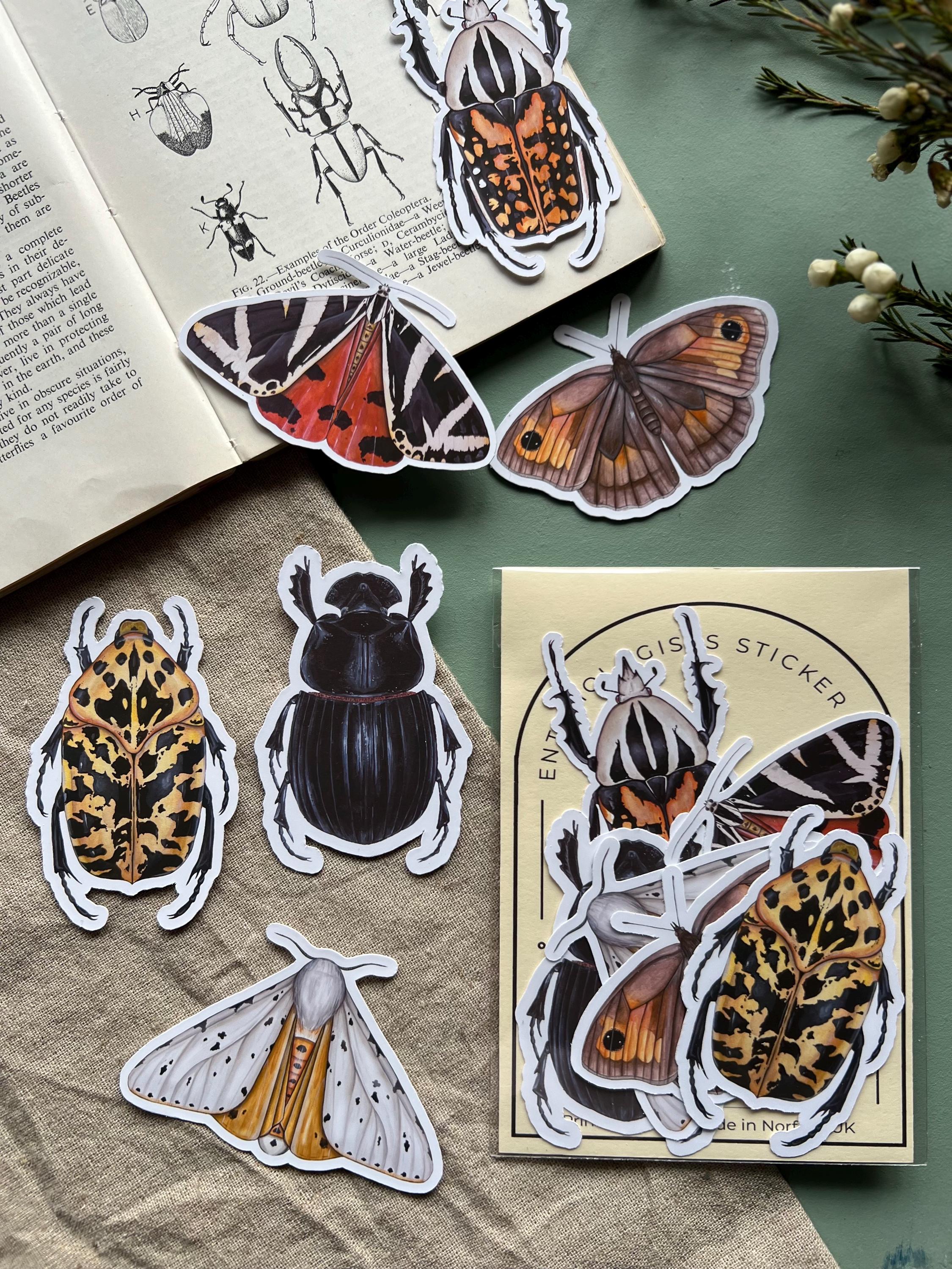 Entomology Sticker Pack, 6 Vinyl Wildlife Stickers - Etsy