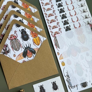 Beetles and Bugs, Letter Writing Set - Etsy