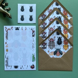 Beetles and Bugs, Letter Writing Set - Etsy
