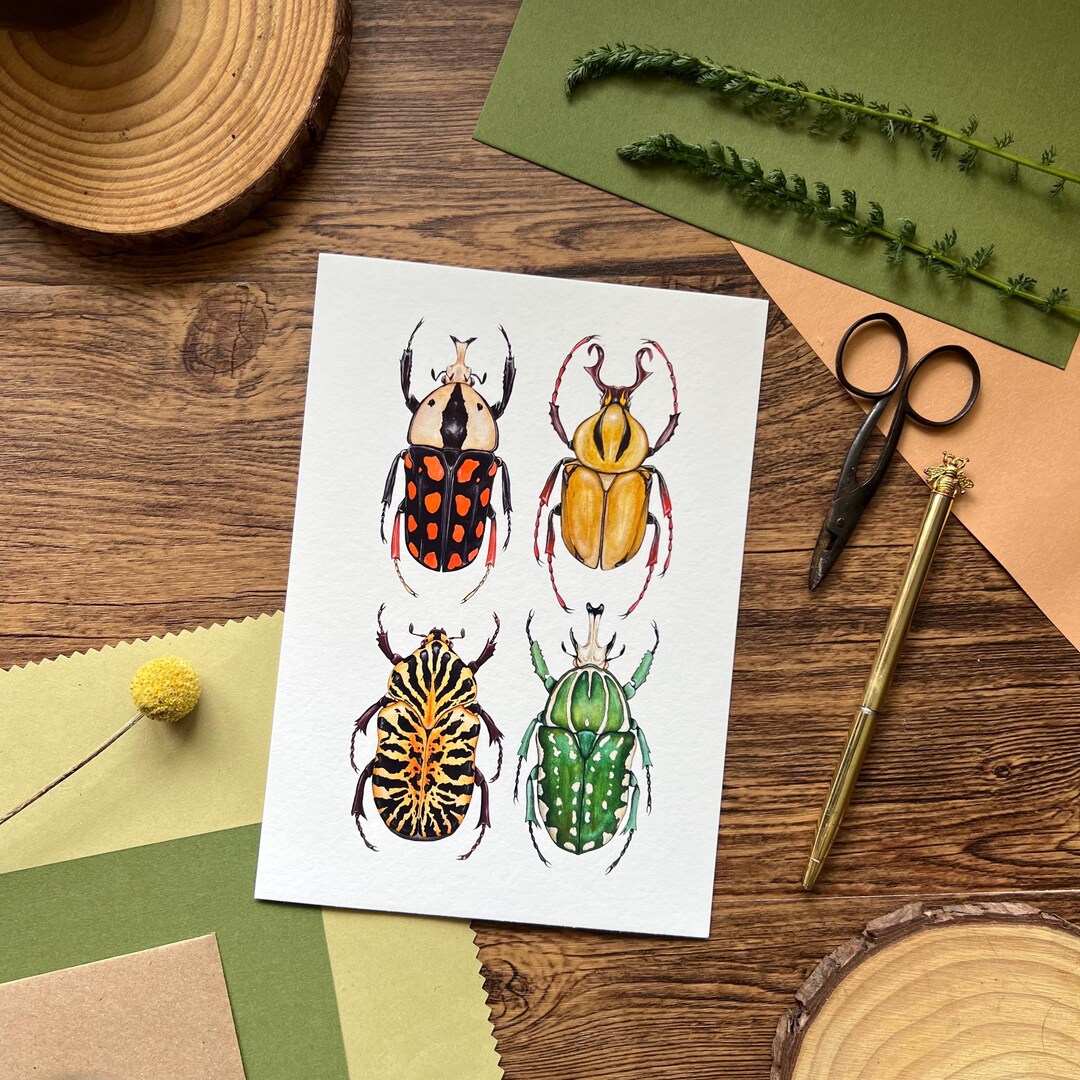 Fruit Beetles, Watercolour Fine Art Print, Entomology - Etsy