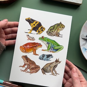 Frogs Print - Etsy