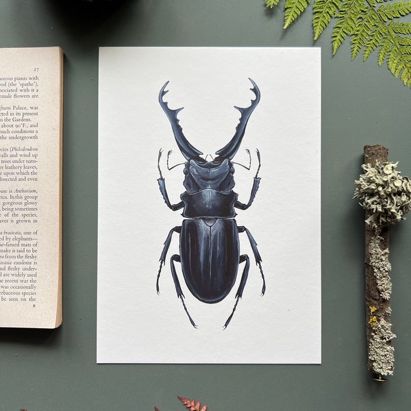 Beetle Print - Etsy