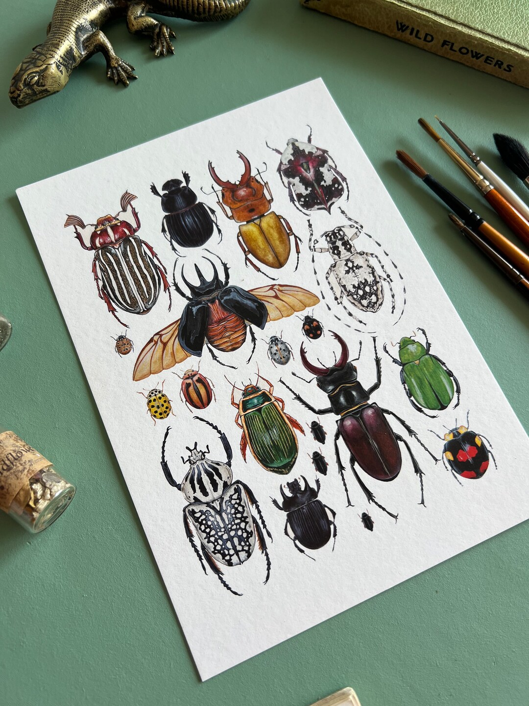 Beetles Watercolour Fine Art Print Entomology - Etsy