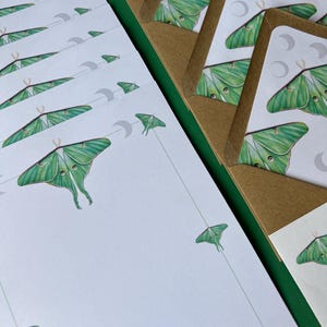 Luna Moth Letter Writing Set, Entomology Gift, Insect Stationery - Etsy