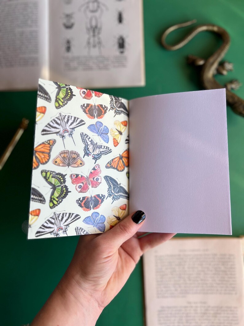 Handmade Insects Notebook Set, A6 Notebook, Sketchbooks, Entomology ...