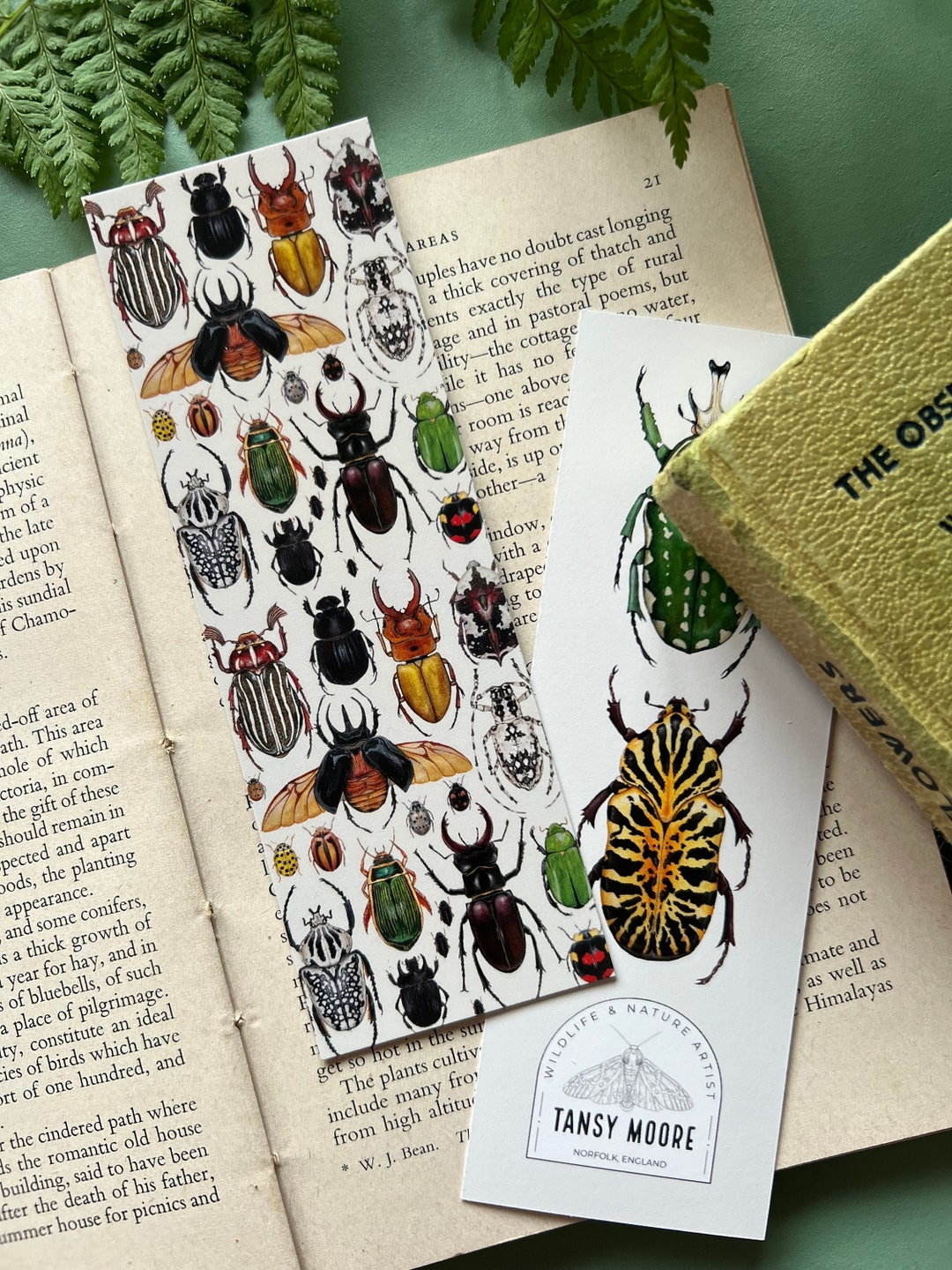 Beetle Bookmark, Entomology/insect Bookmark - Etsy UK
