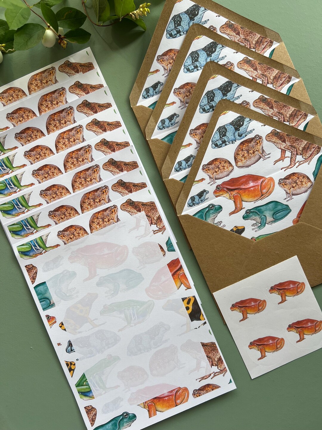 Frogs, Letter Writing Set, Wildlife Stationery - Etsy