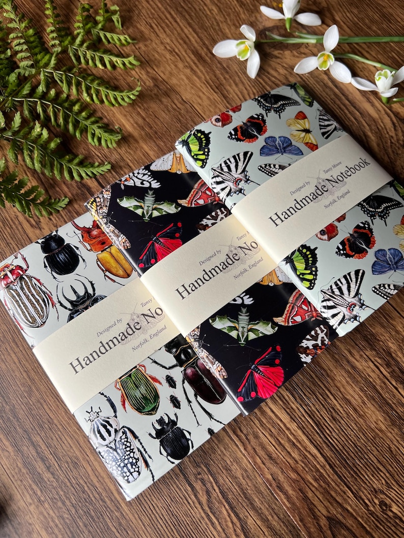 Handmade Insects Notebook Set, A6 Notebook, Sketchbooks, Entomology ...