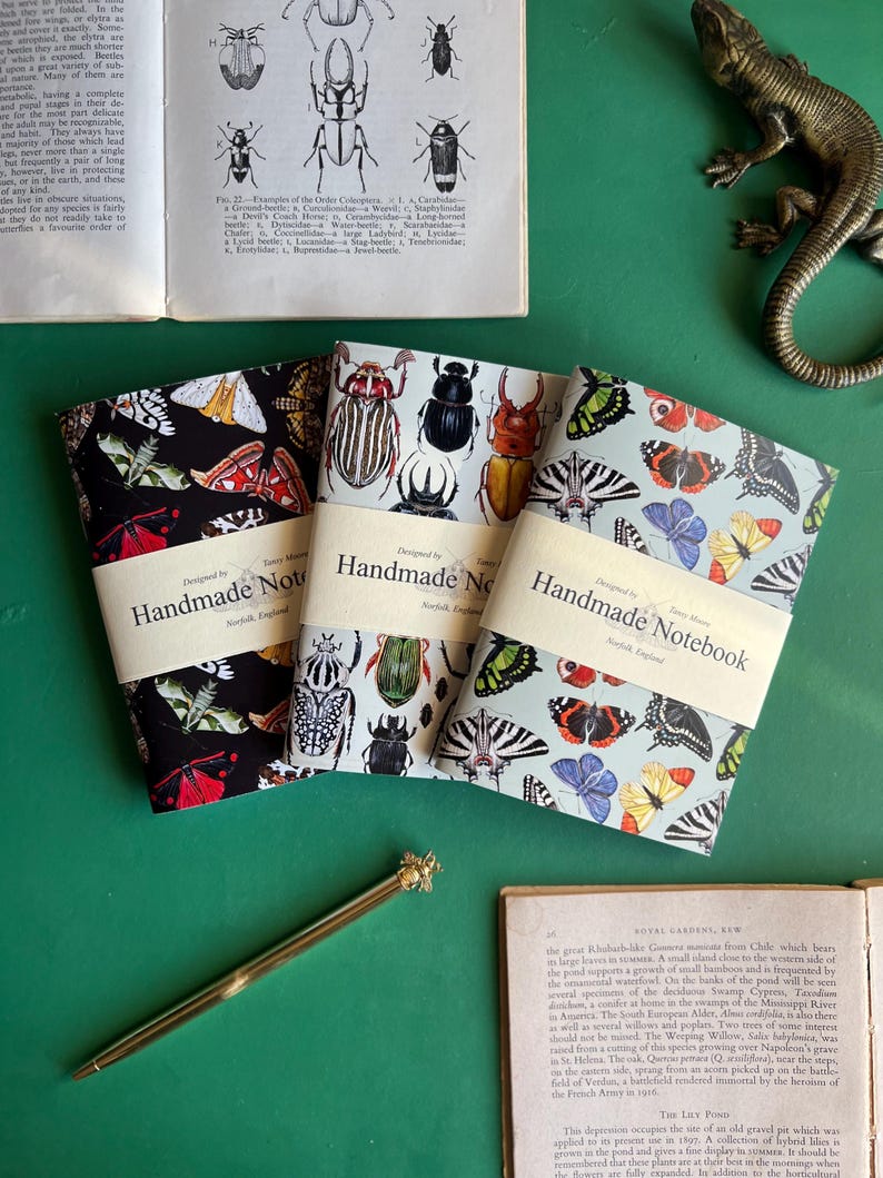 Handmade Insects Notebook Set, A6 Notebook, Sketchbooks, Entomology ...
