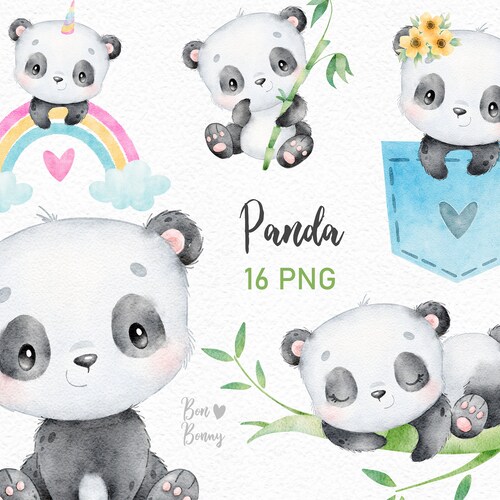Panda. Little Animals Watercolor Clipart Watercolor Bear - Etsy