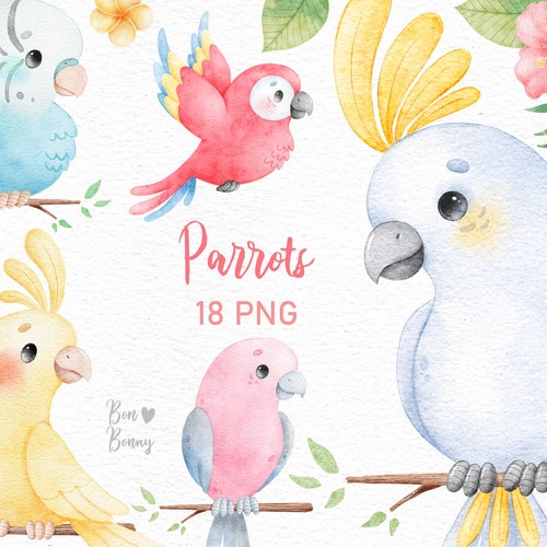 Parrots Watercolor Clipart Exotic Birds Clip Art Tropical - Etsy