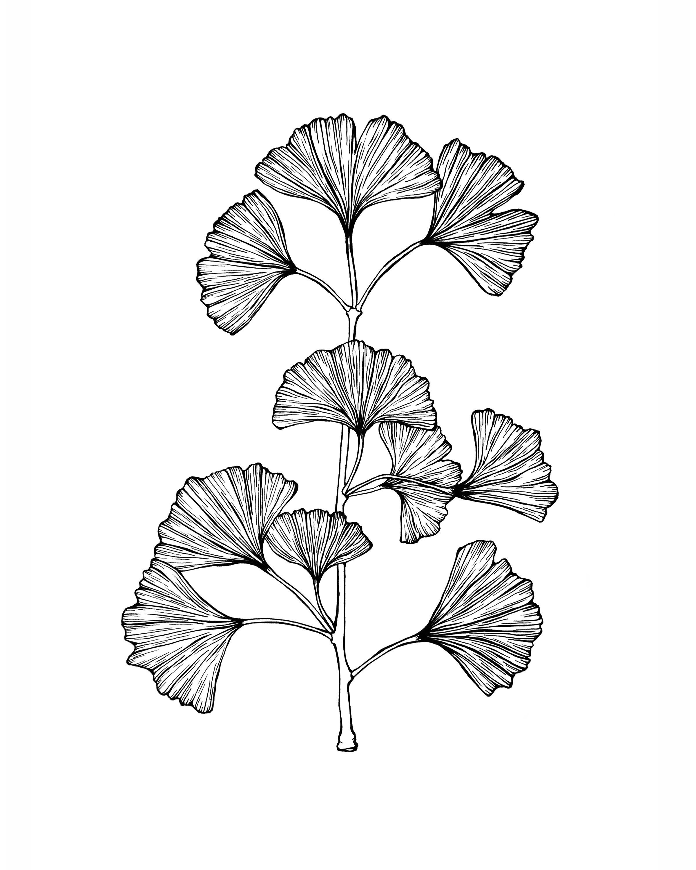 Gingko Leaves Art Print Wall Art Home Decor Ginkgo Leaves - Etsy