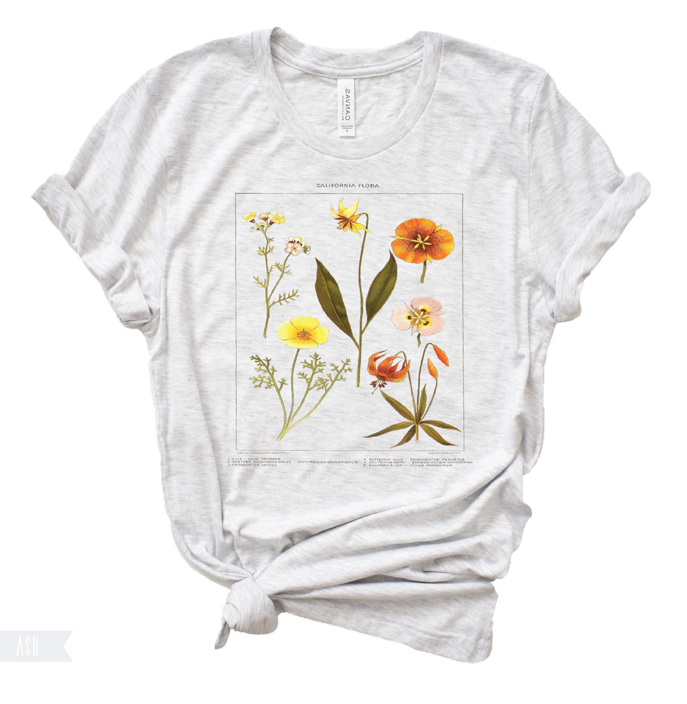 California Flora California Wildflower Floral Botanical | Etsy