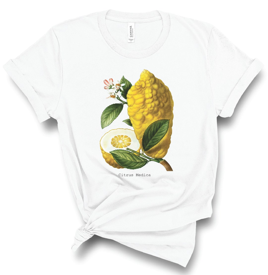 Lemon Illustration T-shirt, Botanical Illustration, Lemon T-shirt ...