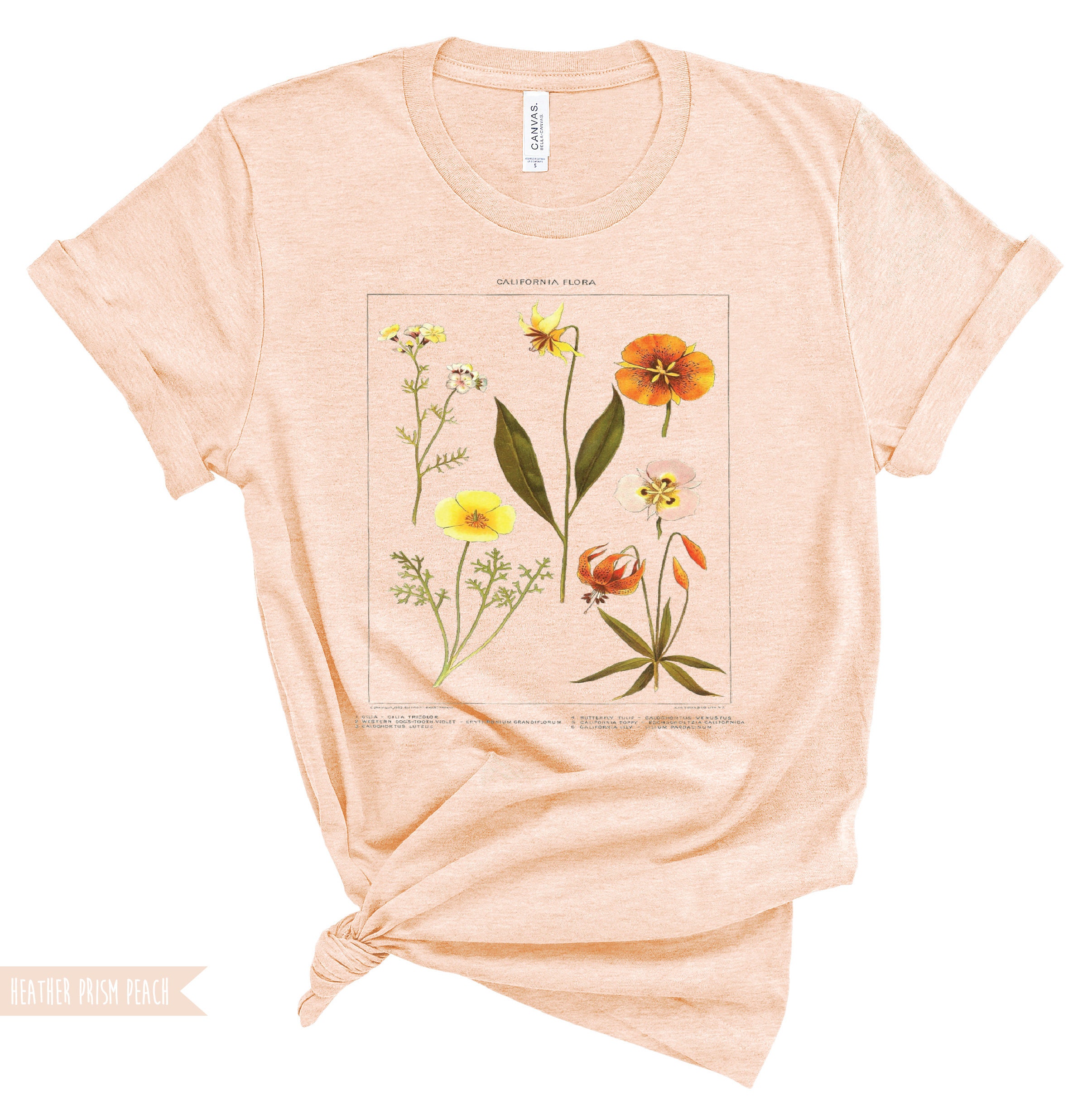 California Flora California Wildflower Floral Botanical | Etsy