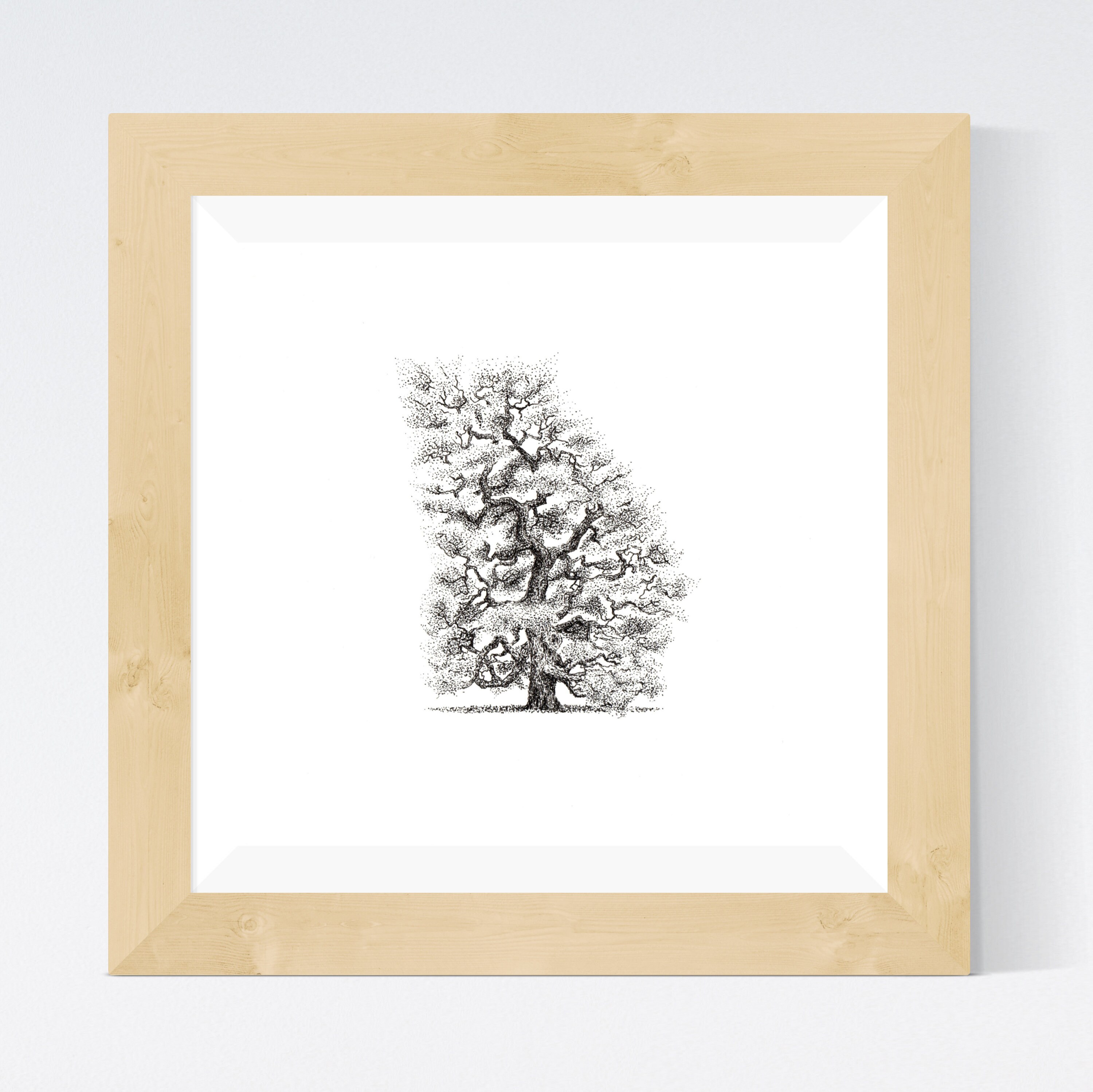 Georgia as a Live Oak Art Print pen and Ink Georgia State Tree ...