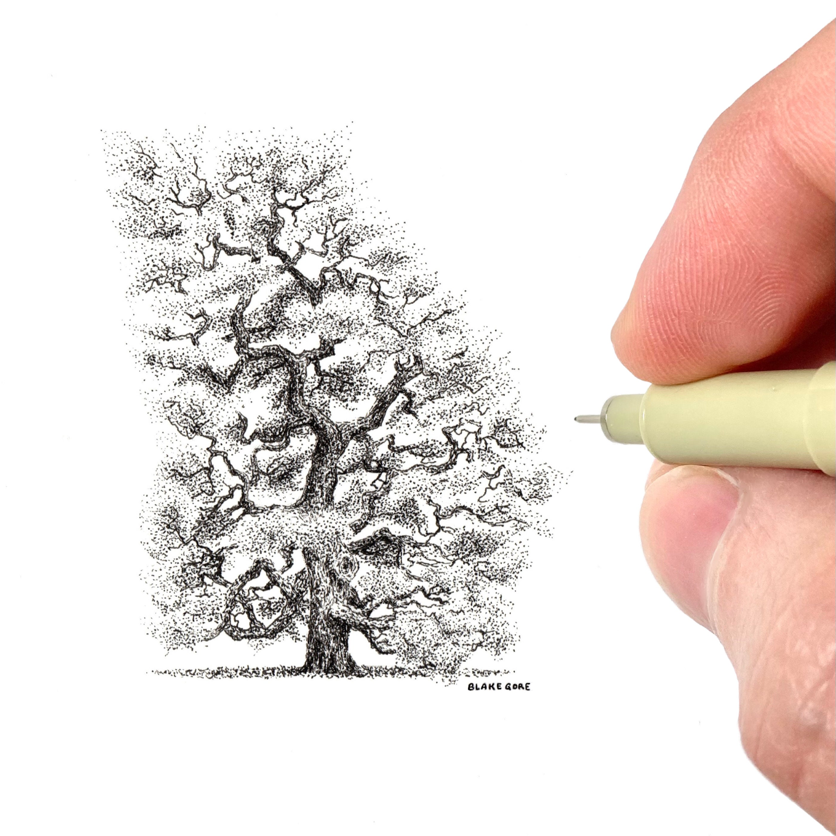 Georgia as a Live Oak Art Print (pen and Ink) | Georgia State Tree ...