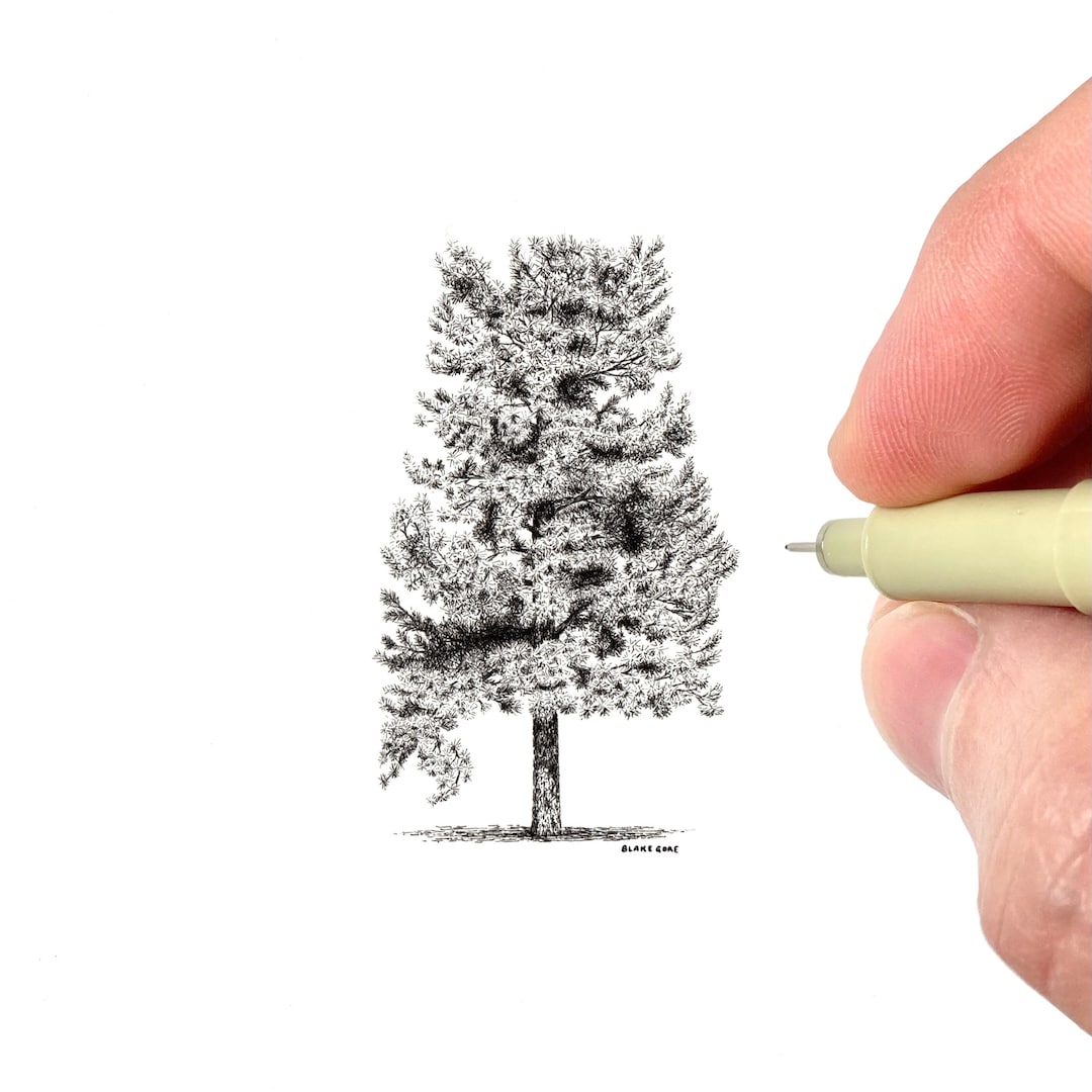 Alabama as a Pine | Alabama State Tree Illustration Print | Alabama Pen ...