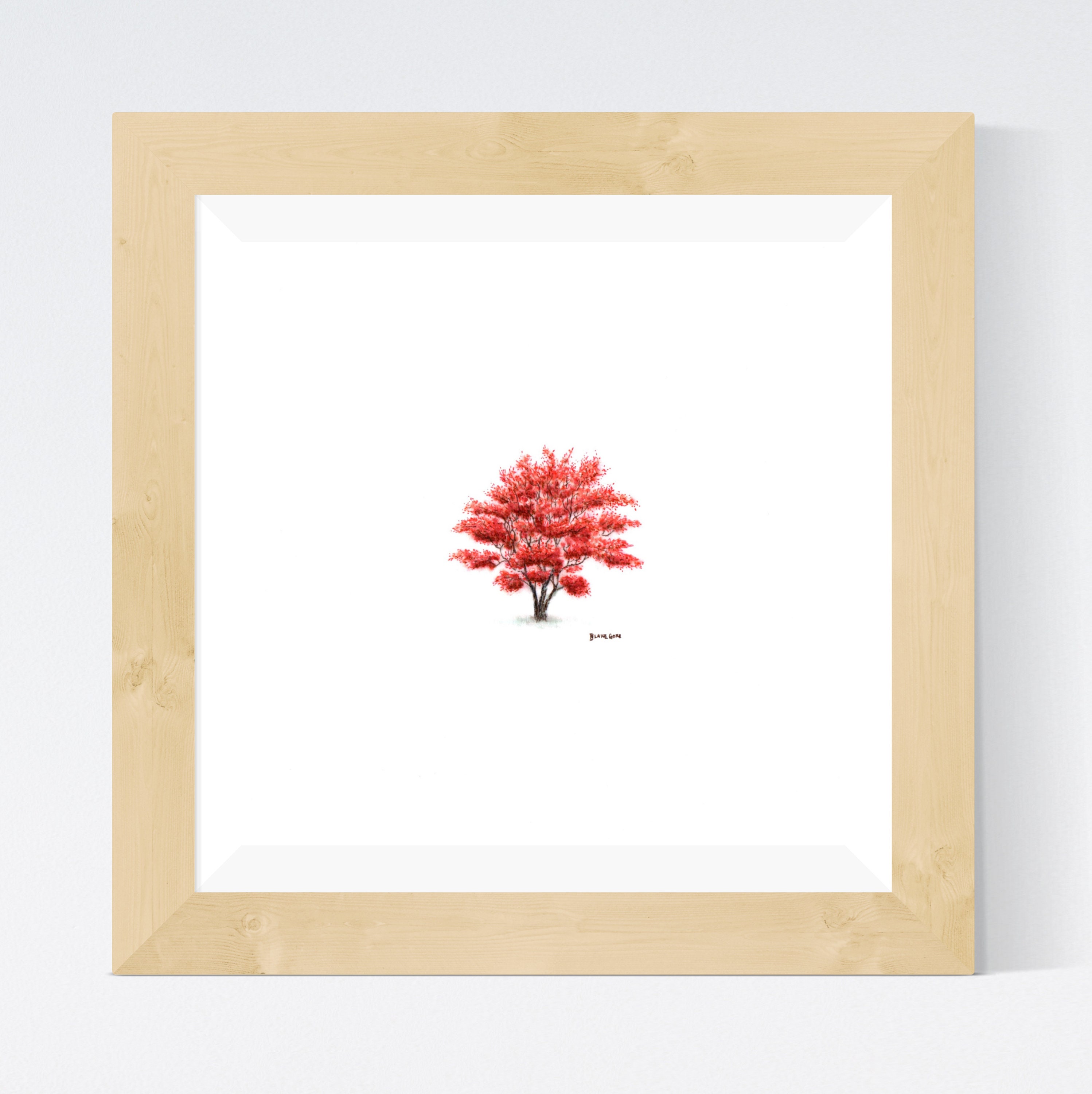 Japanese Maple Art Print Botanical Tree Illustration Nature Aesthetic ...