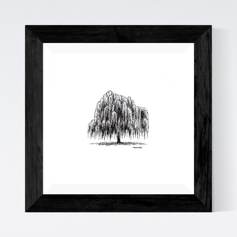 Willow Tree Art Print | Pen and Ink Tree Illustration | Nature Decor - Etsy