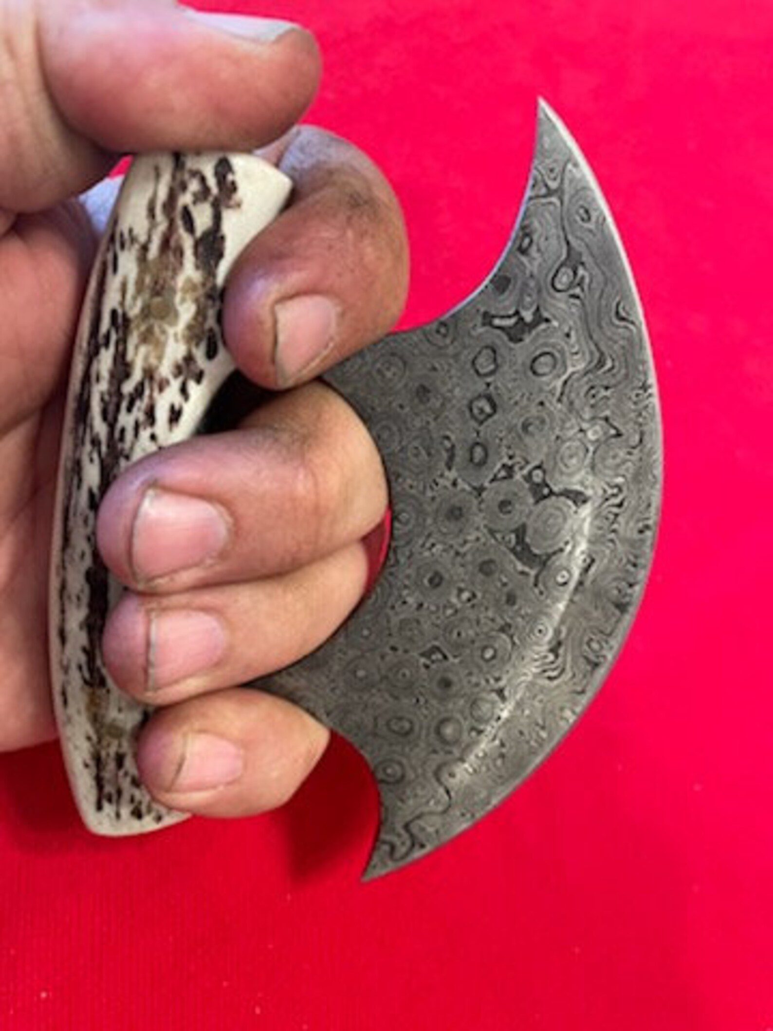 5 1/2 Damascus Ulu Blade W/ Stag Horn Handle - Etsy