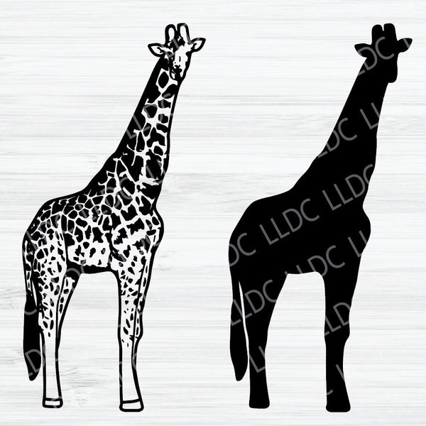 Giraffe Outline Svg - Etsy