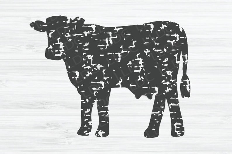 Distressed Cow Svg Grunge Cow Svg Grunge Svg Farmhouse - Etsy