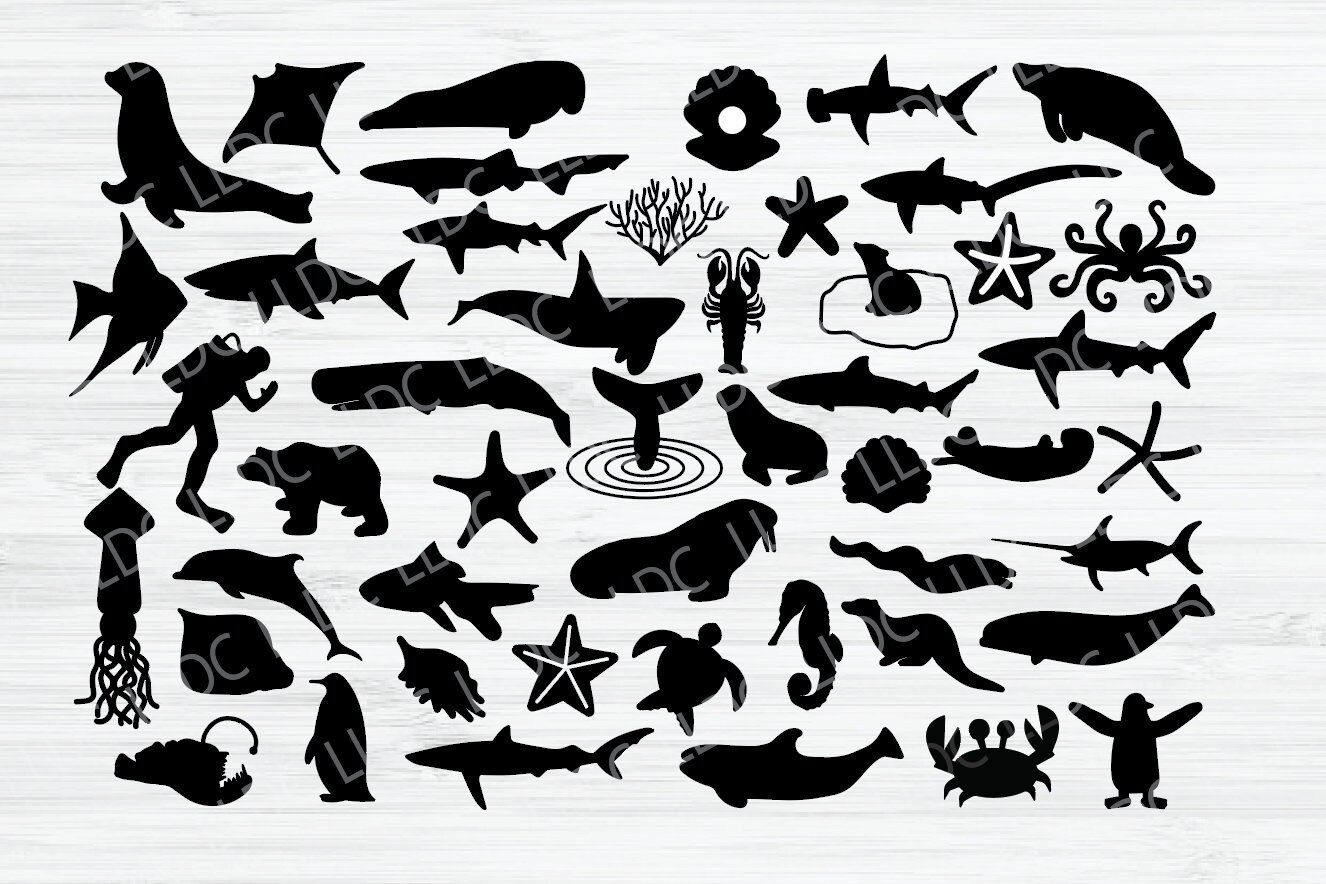 Under the Sea Svg Bundle | Underwater Svg Bundle | Shark Silhouette Svg ...