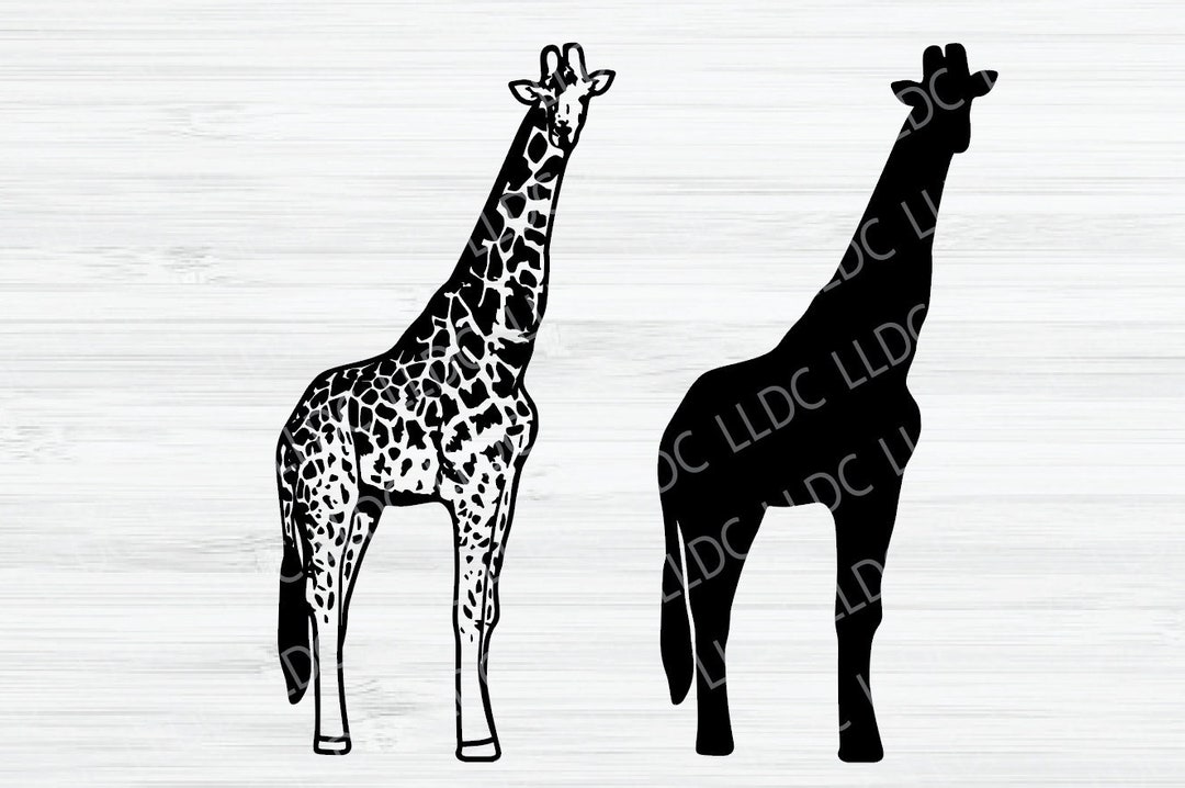 Giraffe SVG File. Giraffe Sillhouette. Animal Downloadable. Giraffes ...