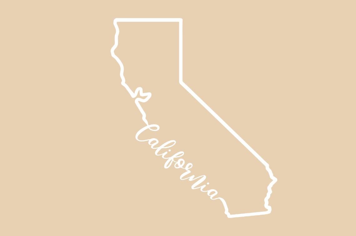 All 50 States Outline PNG Bundle in White, United States Png, US ...