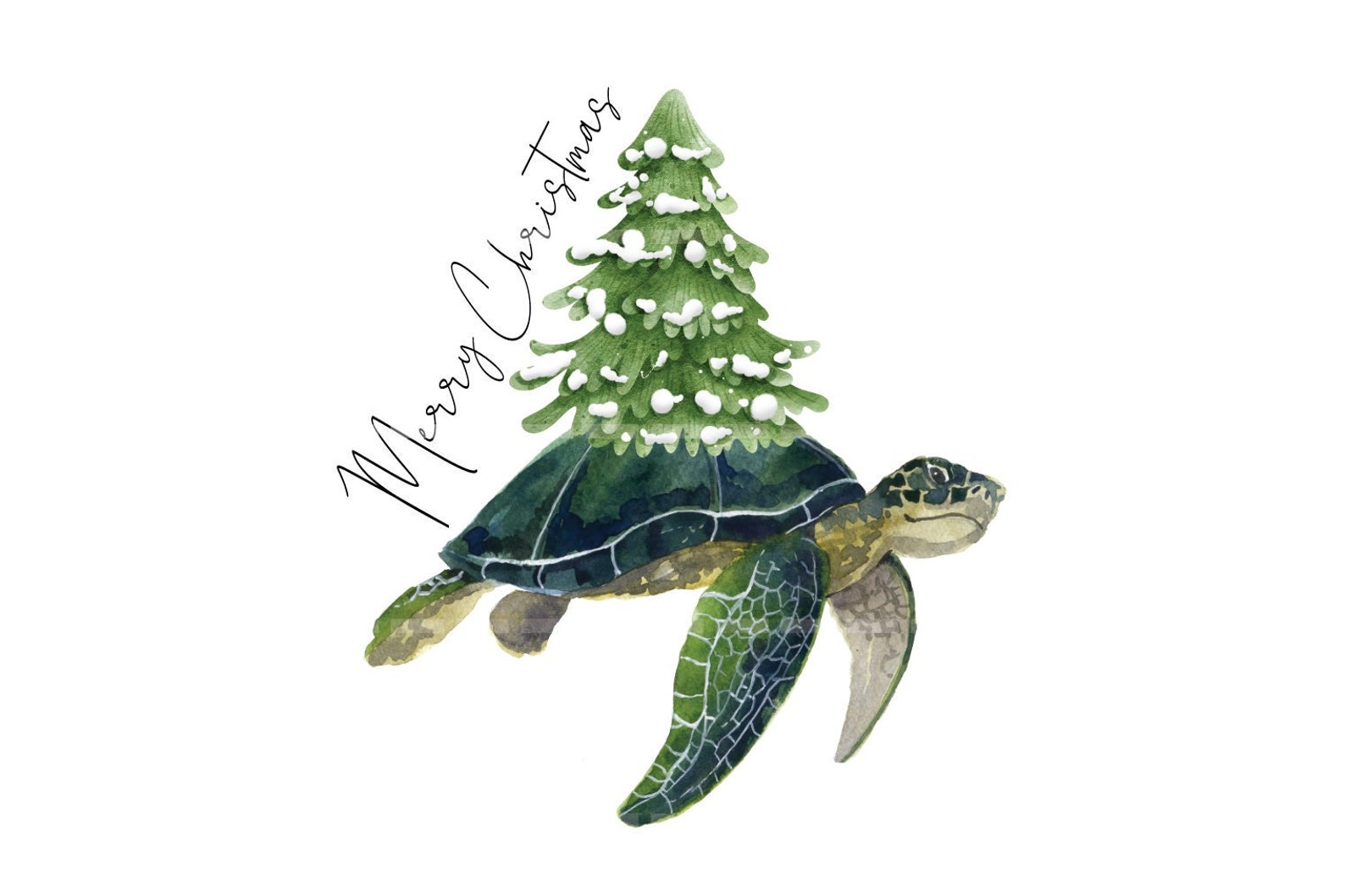 Merry Christmas Turtle PNG JPG. Christmas Tree Png Watercolor - Etsy