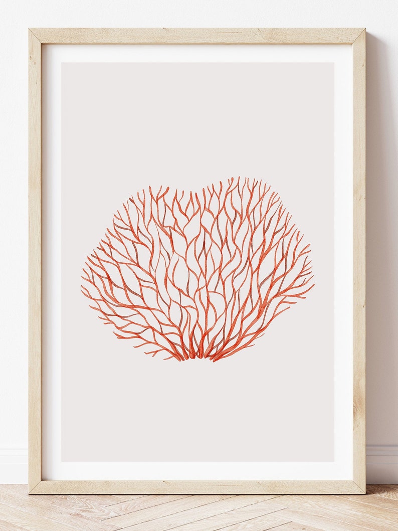 Coral Watercolour Print Vintage Coral Coastal Art Natural | Etsy