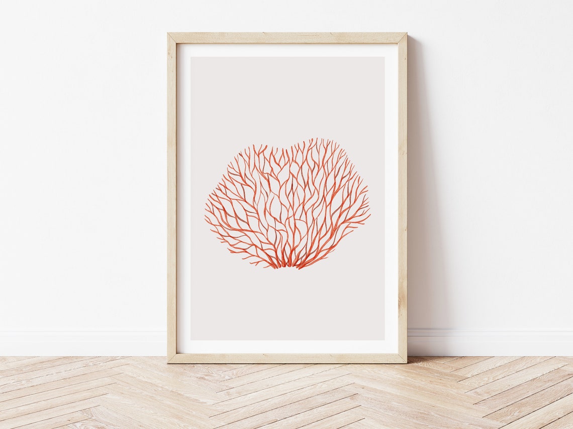 Coral Watercolour Print Vintage Coral Coastal Art Natural | Etsy