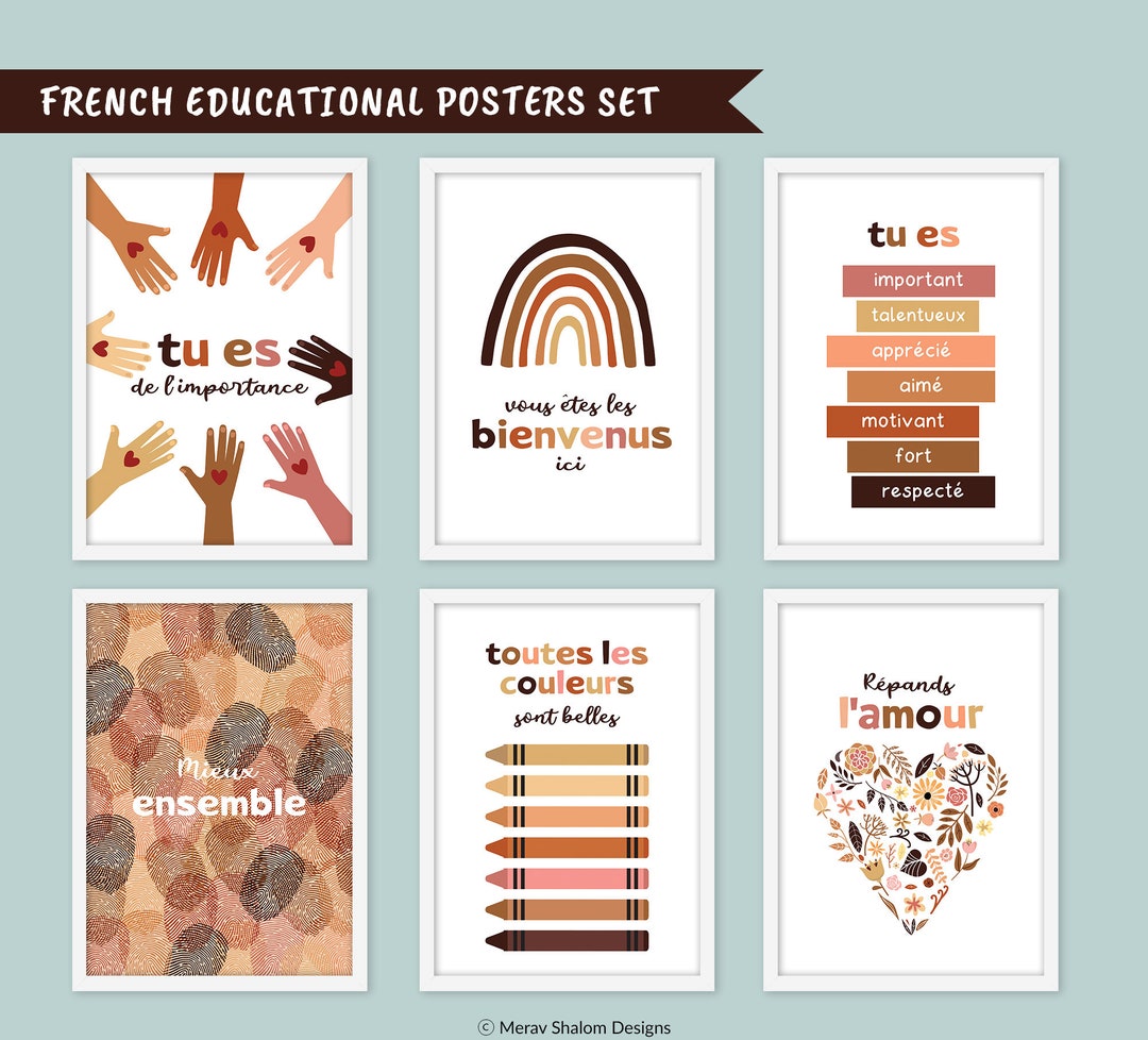 French Educational Posters Set, Set of 6, Diversity Poster, Human ...