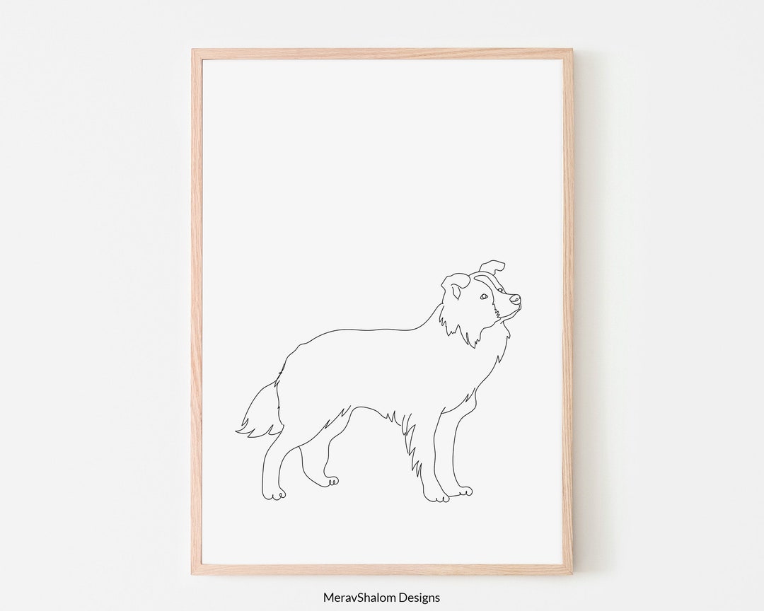 Border Collie Line Art - INSTANT DOWNLOAD - Etsy