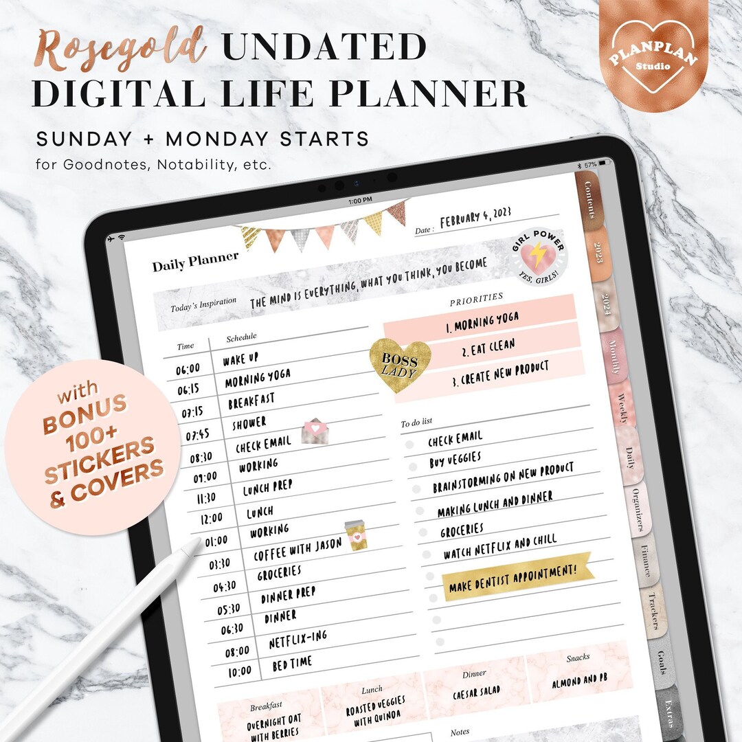 Digital Life Planner Goodnotes Planner Undated Rosegold - Etsy
