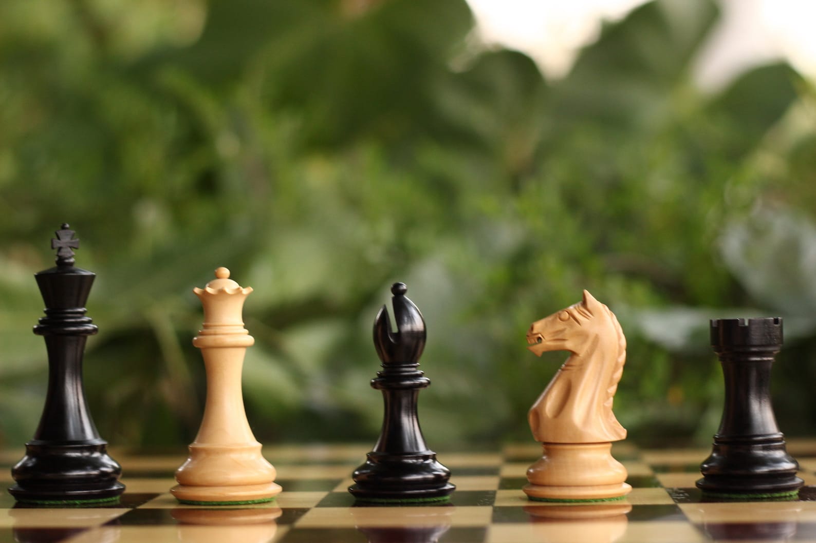 Heavily Weighted Hand Made Fierce Knight Chess Pieces in Ebony and ...