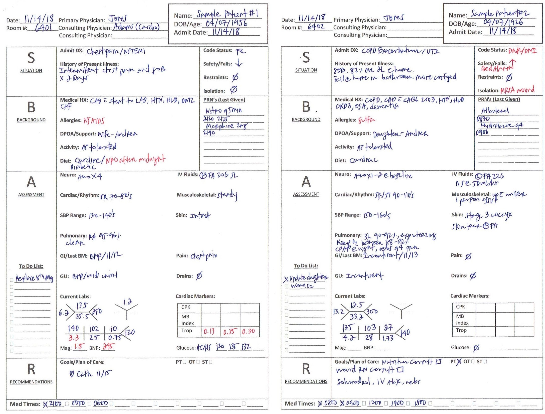 Nursing Report Sheet (brain) 2 Patients per Page - Etsy