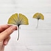 Ginkgo Leaf Vinyl Sticker | Sticker Decal for Laptop, Water Bottle ...
