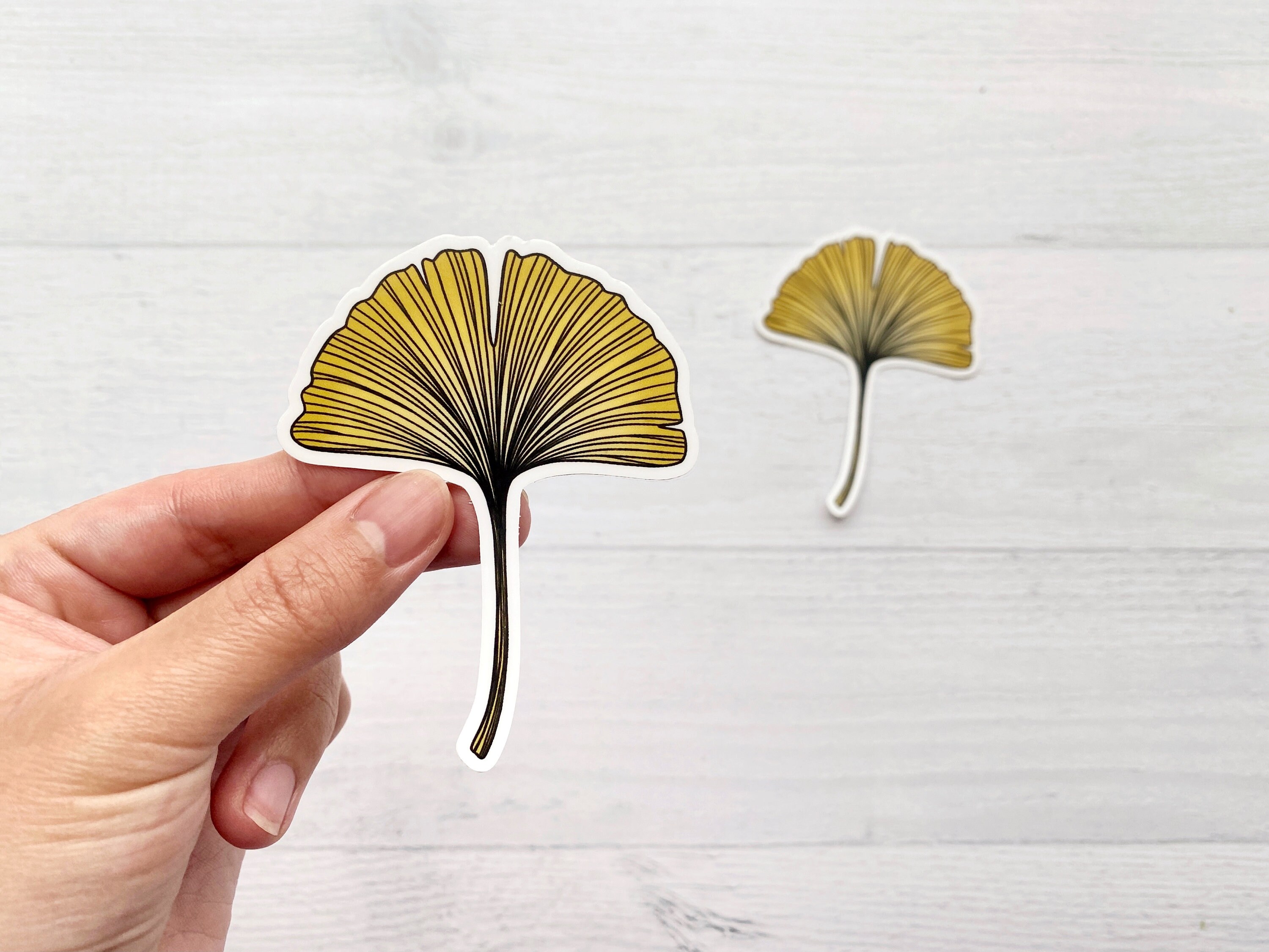 Ginkgo Leaf Vinyl Sticker | Sticker Decal for Laptop, Water Bottle ...