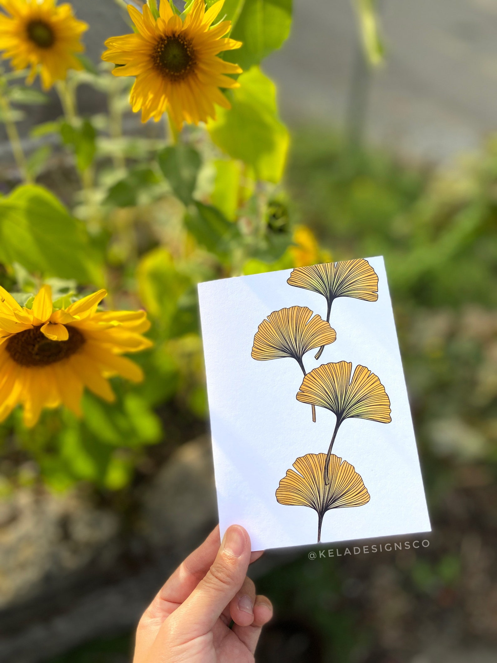 Ginkgo Leaves Mixed Greeting Card Set 6 Cards & Envelopes - Etsy