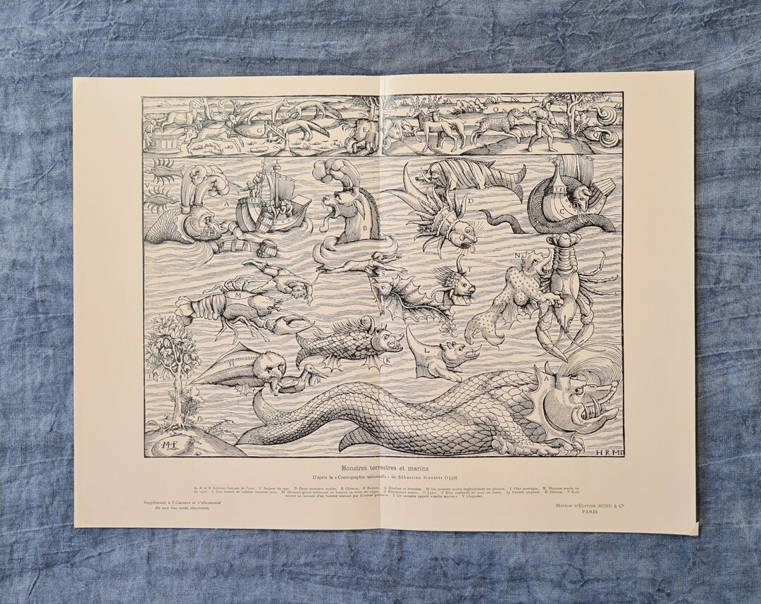 SALE Sea Monsters Antique Print, 1908 Original, Book Plate Mythical ...