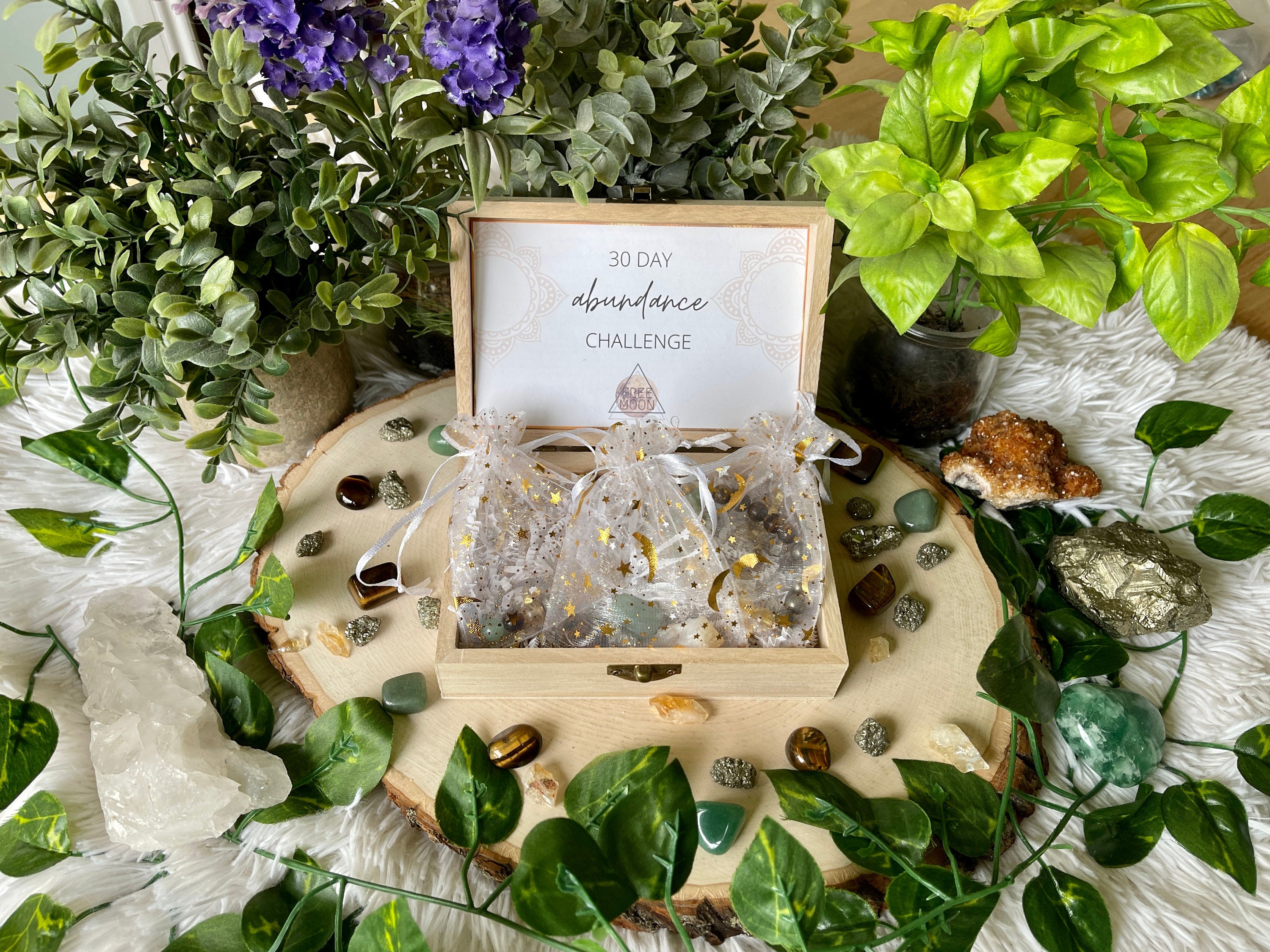 30 Days to Abundance Kit - Etsy